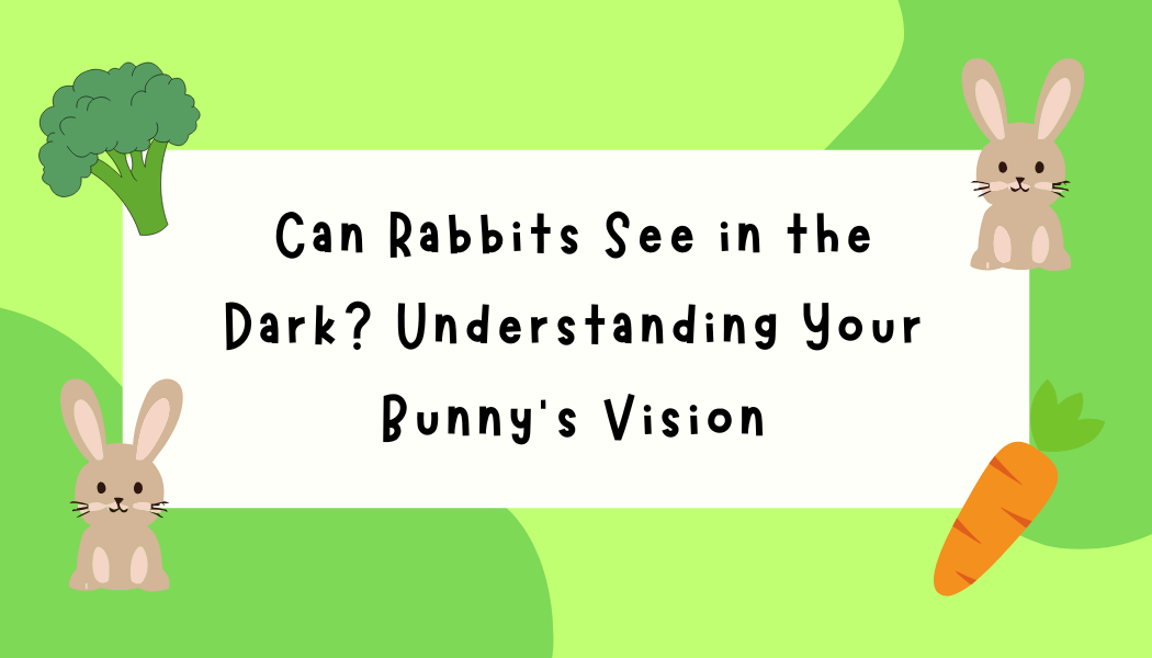 Can Rabbits See in the Dark? Bunny Eyesight and Vision Facts